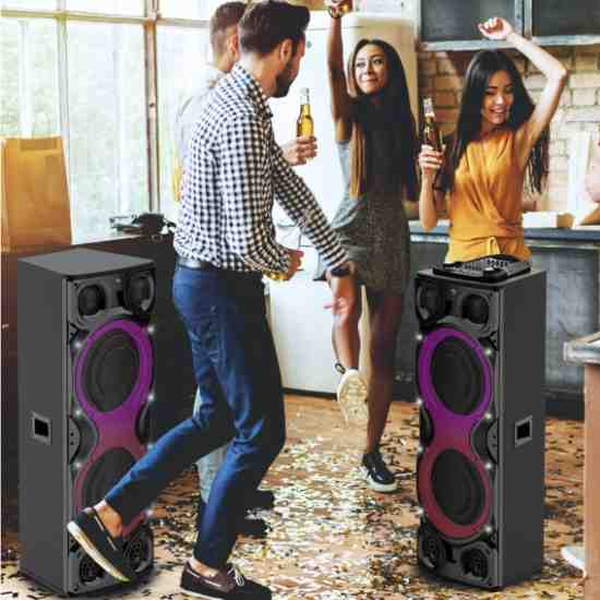 MANTA KARAOKE ZVOČNI SISTEM SPK1204X800D MINOS PRO, STEREO zvok ...